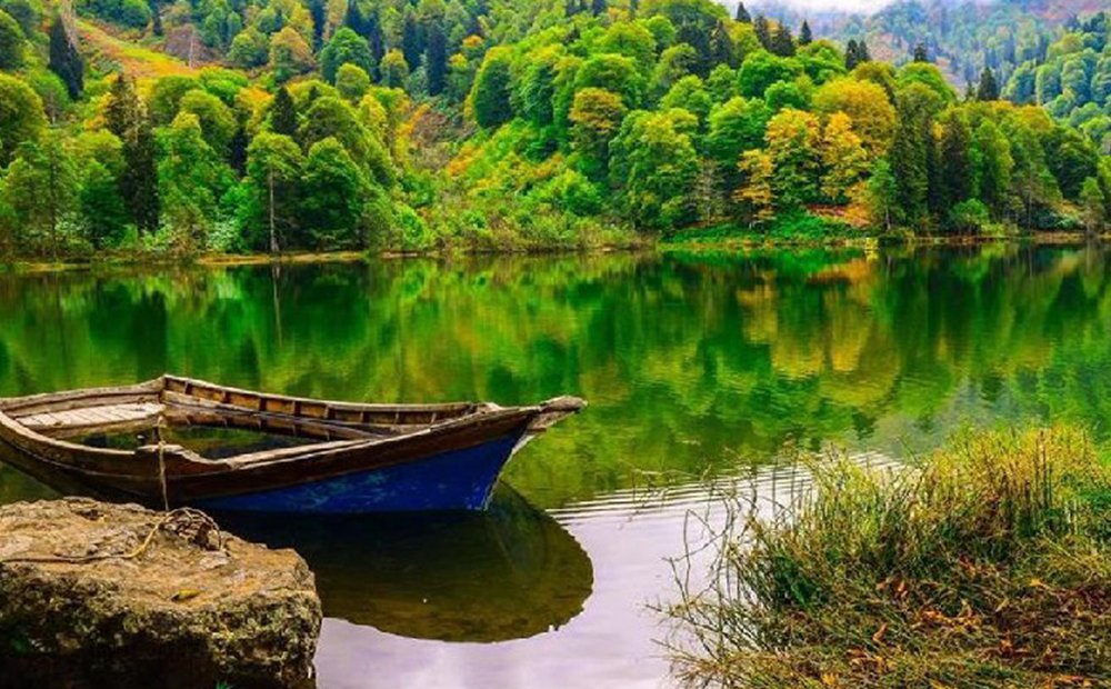 Macahel Yaylaları Trekking Turu | Düş Patikası Turizm
