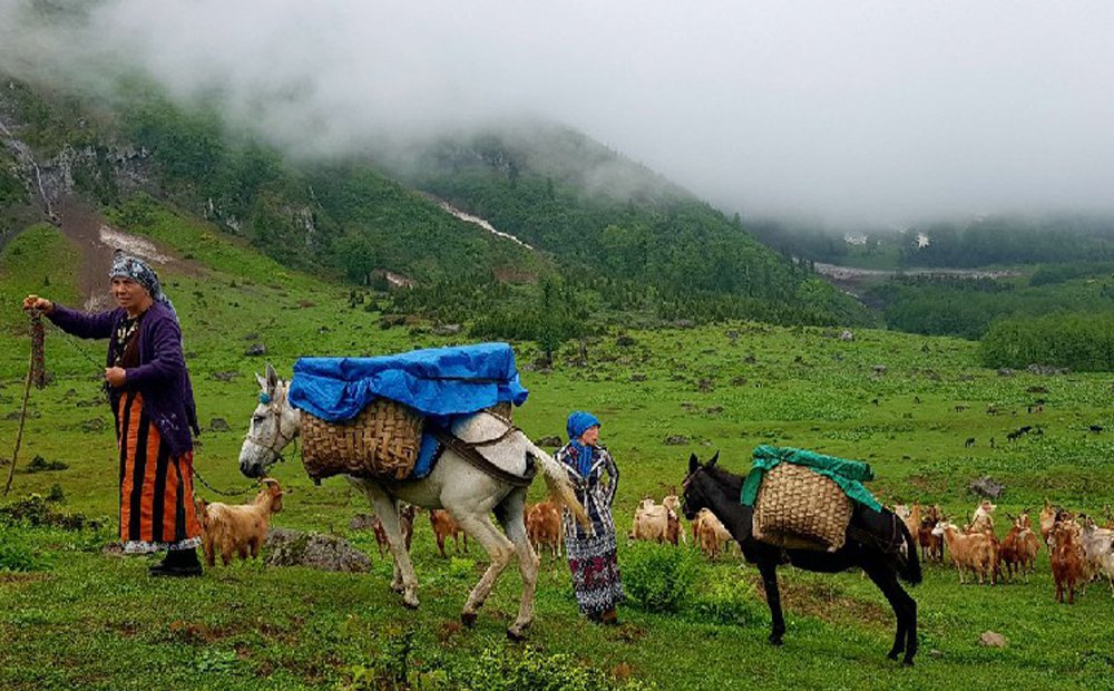 Macahel Yaylaları Trekking Turu | Düş Patikası Turizm
